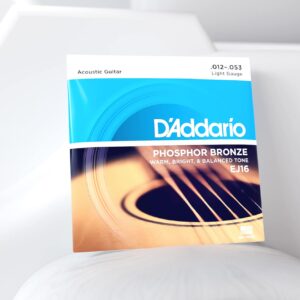 D'Addario EJ16 Acoustic Phosphor Bronze Light 12-53 6-Pack Bundle