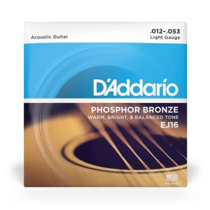 D'Addario EJ16 Acoustic Phosphor Bronze Light 12-53 6-Pack Bundle