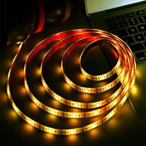 HIKENRI Battery Powered LED Strip Lights, 24-Keys Remote Controlled, DIY Indoor and Outdoor Decoration, 6.56ft Waterproof