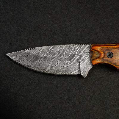 Forseti Steel Boone Damascus Steel Skinner Knife