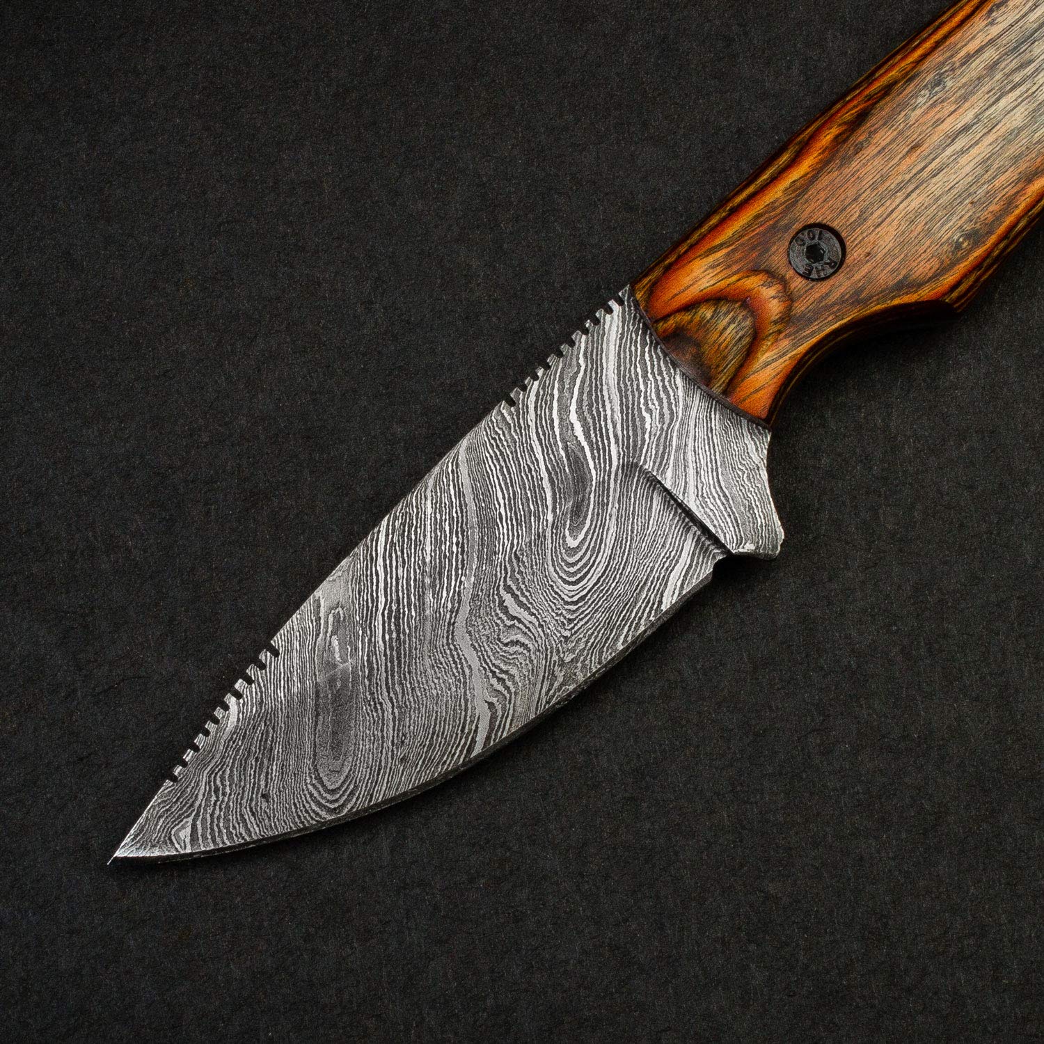 Forseti Steel Boone Damascus Steel Skinner Knife