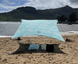 neso tents grande beach tent, 7ft tall, 9 x 9ft, reinforced corners and cooler pocket(aqua fronds)