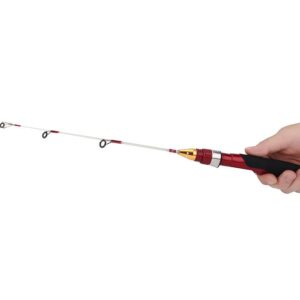 VGEBY Ice Fishing Rod, 20'' Mini Portable Spinning Rods for Sea Boat Fishing Fish Rod and Its Accessories and Supplies