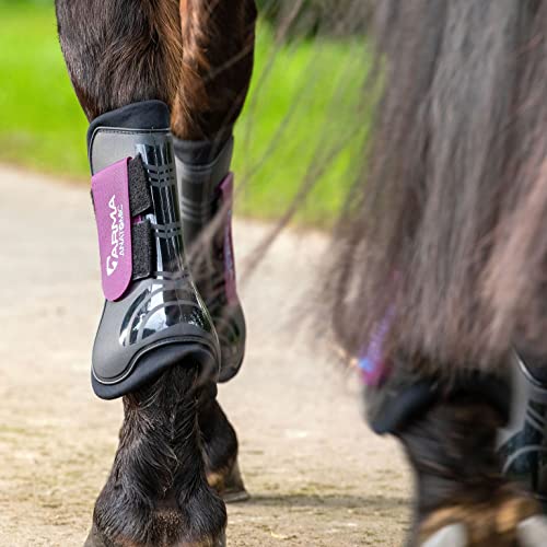 Shires ARMA Tendon Boot (Plum, Cob)