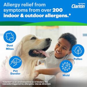 Claritin Children's Chewables 24 Hour Allergy Relief, Non Drowsy Kids Allergy Medicine, Grape Antihistamine Chewable Tablets, For Children 2 Years and Older, 40 Count