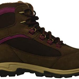 Timberland Women's MT. Maddsen Winter Waterproof Ins Hiking Boot, Dark Brown Nubuck, 9 M US