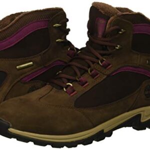 Timberland Women's MT. Maddsen Winter Waterproof Ins Hiking Boot, Dark Brown Nubuck, 9 M US