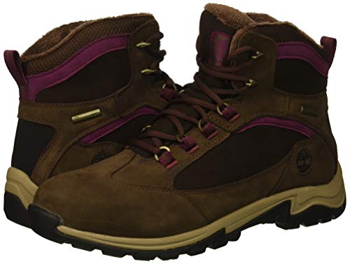 Timberland Women's MT. Maddsen Winter Waterproof Ins Hiking Boot, Dark Brown Nubuck, 9 M US