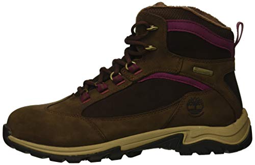 Timberland Women's MT. Maddsen Winter Waterproof Ins Hiking Boot, Dark Brown Nubuck, 9 M US