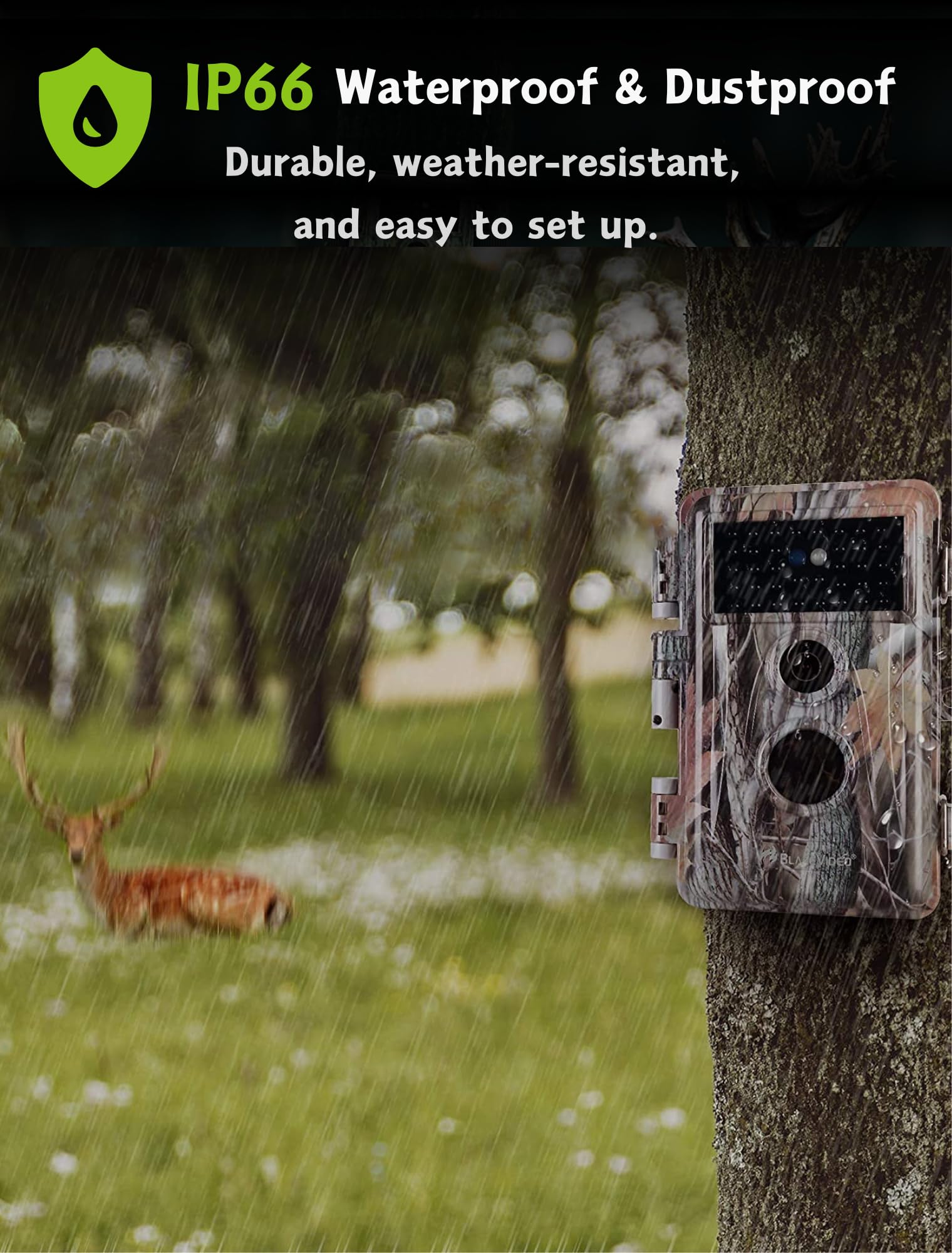 BLAZEVIDEO 2-Pack Trail Game Cameras 48MP 1296P Video No Glow Night Vision 110° Field of View Motion Activated IP66 Waterproof for Outdoor Wildlife Hunting, Animal Observation, Backyard Security