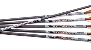 Ravin R139 20-Inch 400-Grain .001-Carbon Crossbow Arrows for Use Exclusively with Ravin Crossbows