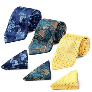 HISDERN Lot 3 PCS Classic Men's Tie Set Necktie & Pocket Square Elegant Neck Ties Collection,T3-08,One Size