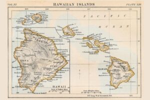 hawaiian islands 1883 historical antique style map travel world map with cities in detail map posters for wall map art geographical illustration island cool wall art print poster 36x24