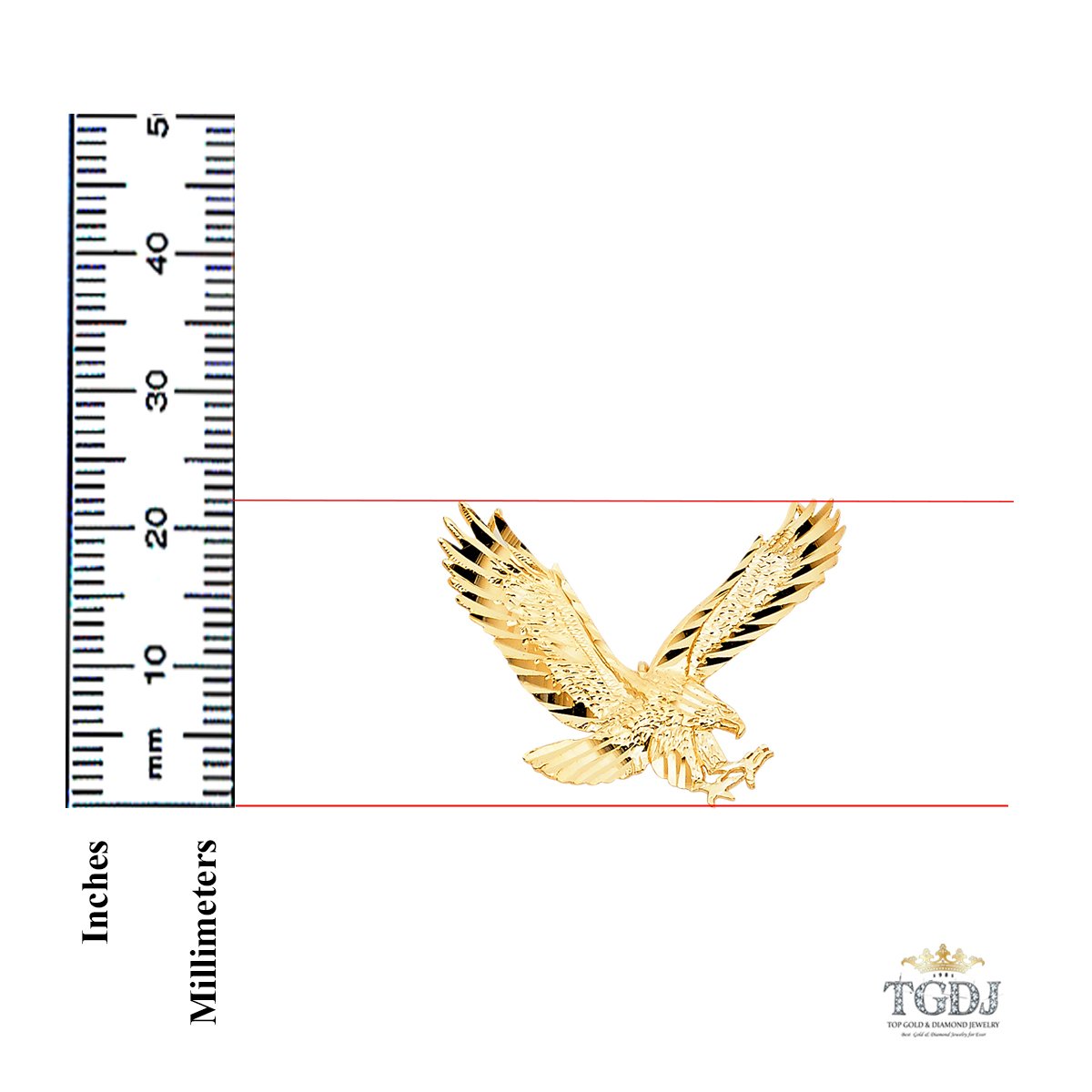 TGDJ 14K Yellow Gold Eagle Charm Medium Pendant For Necklace or Chain (Height 22 MM Width 30 MM)