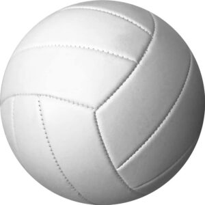 bestsoccerbuys.com all white volleyball ball (official, one/single ball)