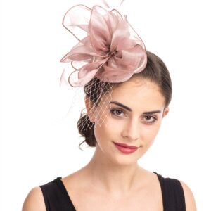 SAFERIN Fascinator for Women Hair Clip Hat Bowler Feather Flower Veil Wedding Party Hat Tea Hat（TA2-Pink）