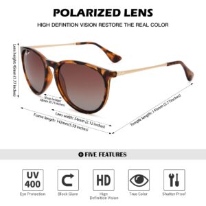 Polarized Sunglasses for Women Classic Round Style 100% UV Protection (Tortoise; Gold/Brown Gradient)