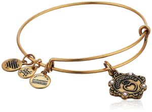 alex and ani womens because i love you a18bily08rg goddaughter charm bangle bracelet, rafaelian gold, expandable