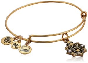 alex and ani womens because i love you a18bily14rg friend charm bangle bracelet, rafaelian gold, expandable