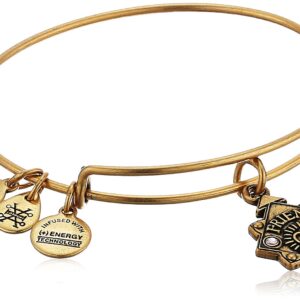 Alex and Ani Womens Because I Love You A18BILY14RG Friend Charm Bangle Bracelet, Rafaelian Gold, Expandable