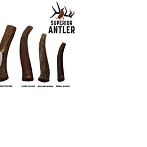 1-GIANT-JUMBO Whole Elk Antler for Dogs –XXXL All Natural premium Grade A. Antler Chew. Naturally Shed, Hand-picked, and made in the USA. NO ODOR, NO MESS. GUARANTEED SATISFACTION. For dogs 60-90+ Lbs