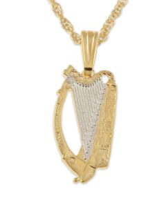 the difference world coin jewelry irish harp pendant and necklace, 3/4" in diameter, (# 171b)