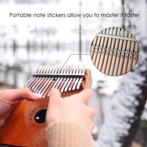 GECKO Kalimba 17 Keys Thumb Piano with Waterproof Protective Box, Tune Hammer and Study Instruction, Portable Mbira Sanza Finger Piano, Meditation Sound, Gift for Kids Adult Beginners Professional