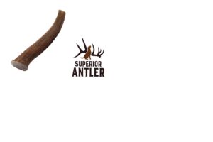 1- large antler, whole, single pack –large, all natural premium grade a. antler chew. l=6-10” naturally shed, and made in the usa. no odor, no mess. guarenteed satisifaction. for dogs 40-80 lbs