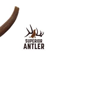 1- Large Antler, Whole, Single Pack –Large, All Natural Premium Grade A. Antler Chew. L=6-10” Naturally Shed, and Made in The USA. NO Odor, NO Mess. GUARENTEED SATISIFACTION. for Dogs 40-80 LBS