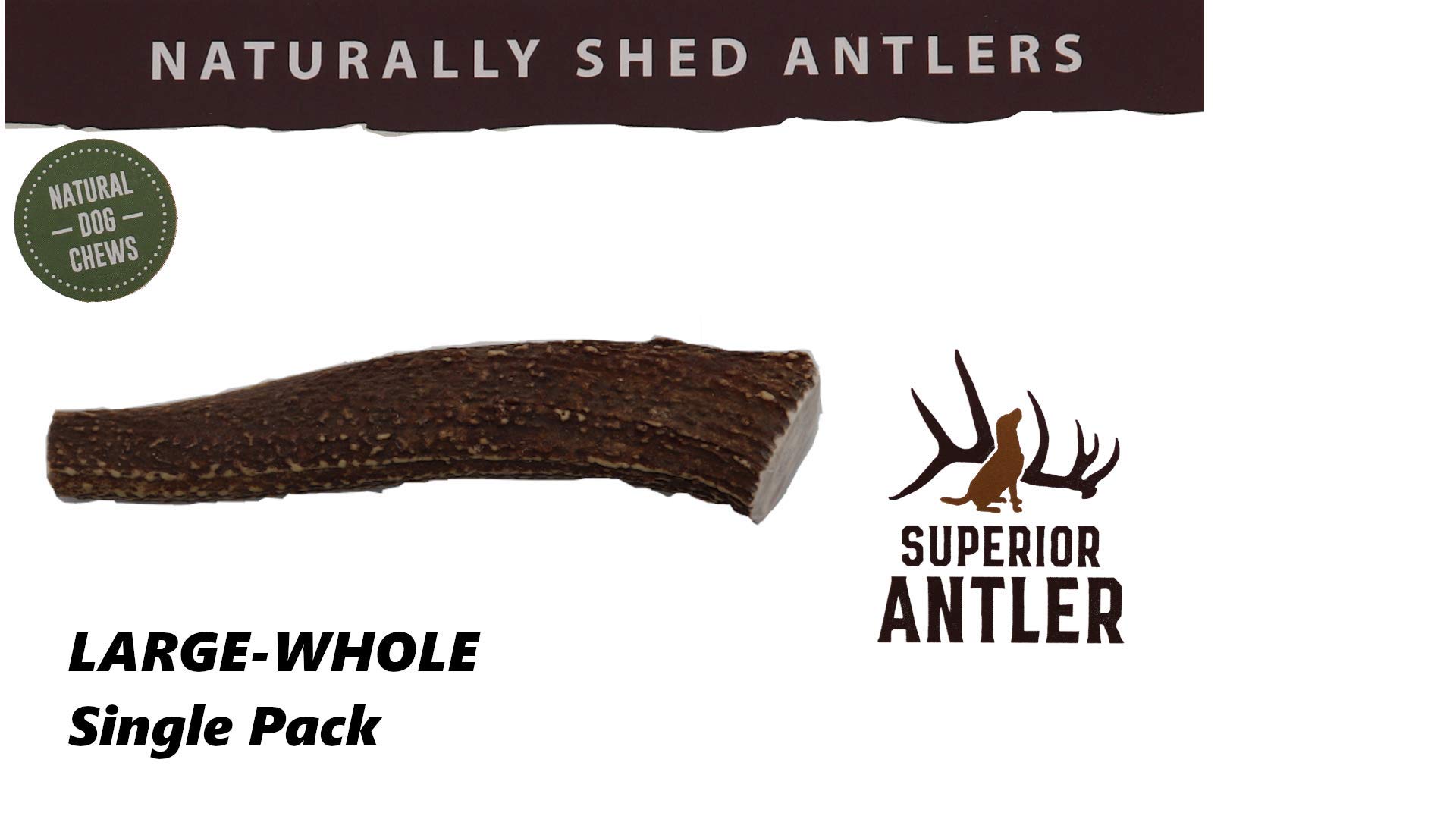 1- Large Antler, Whole, Single Pack –Large, All Natural Premium Grade A. Antler Chew. L=6-10” Naturally Shed, and Made in The USA. NO Odor, NO Mess. GUARENTEED SATISIFACTION. for Dogs 40-80 LBS