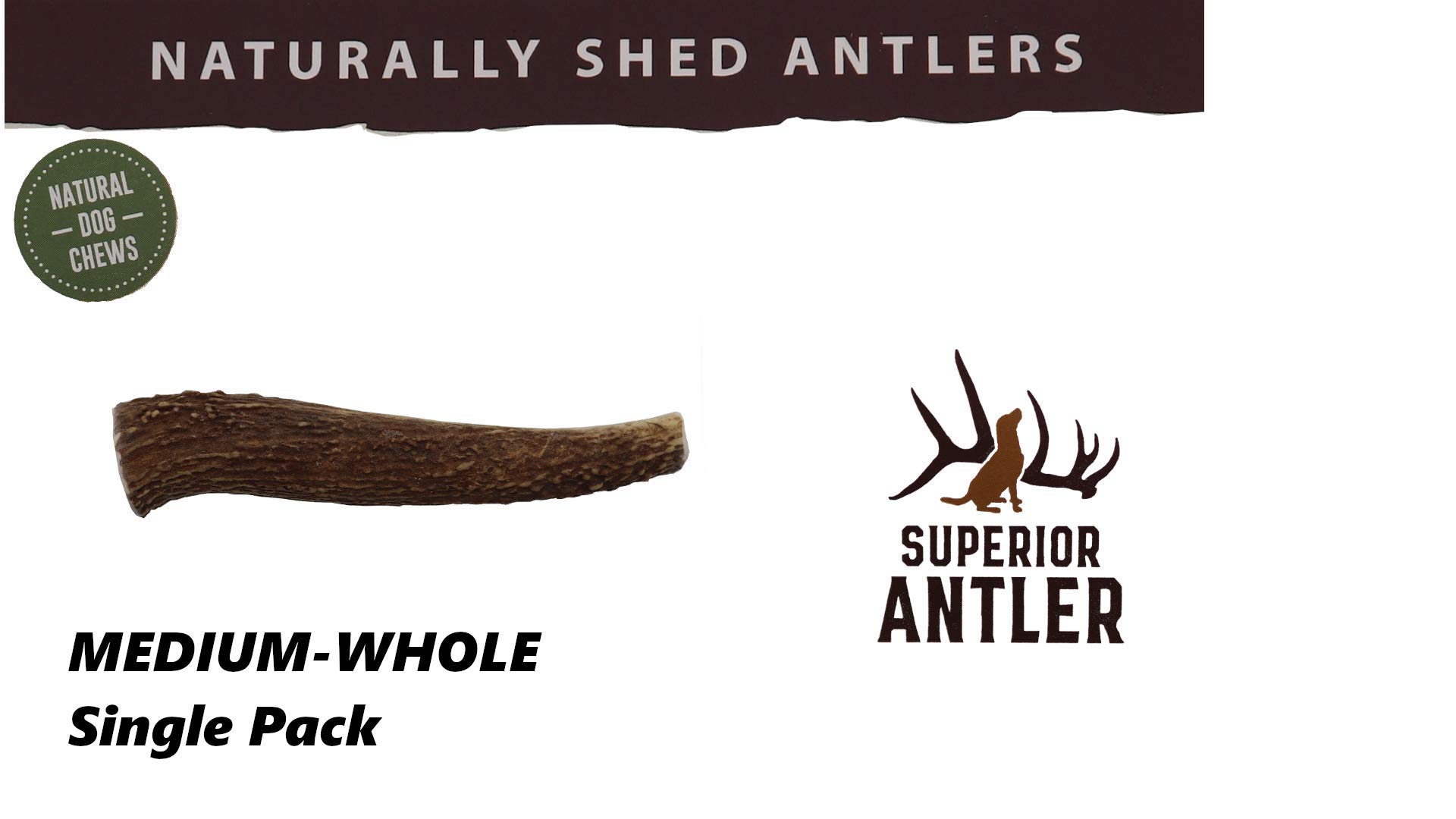 Elk Antlers for Dogs - Medium Size 5-8” All Natural Premium Grade A - Deer Antlers for Dogs, Pets, and Puppies- Dog Antler Chews - Long Lasting - Single Pack