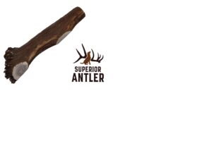 1- large split, single pack – all natural premium grade a. antler chew. l=5-9” naturally shed, hand-picked, and made in the usa. no odor, no mess. guaranteed satisfaction. for dogs 30+ lbs