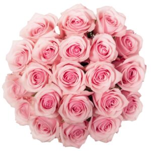 Pink Roses- Fresh Flowers- 50 Stems (OM)