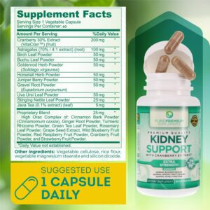 PurePremium Kidney Support Supplement with Cranberry Extract - Kidney Cleanse, Detox & Repair for Men and Women - Support for Normal Urinary Tract Health & Bladder - 2 Months Supply - 60 Capsules