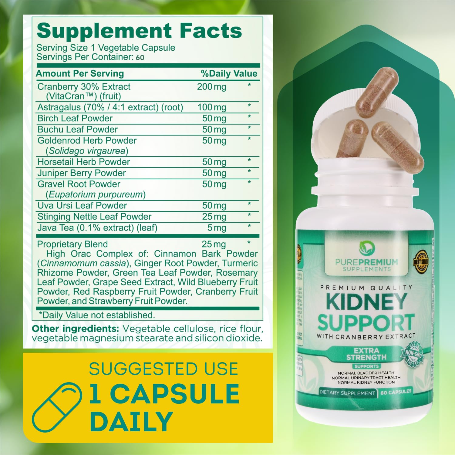 PurePremium Kidney Support Supplement with Cranberry Extract - Kidney Cleanse, Detox & Repair for Men and Women - Support for Normal Urinary Tract Health & Bladder - 2 Months Supply - 60 Capsules