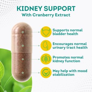 PurePremium Kidney Support Supplement with Cranberry Extract - Kidney Cleanse, Detox & Repair for Men and Women - Support for Normal Urinary Tract Health & Bladder - 2 Months Supply - 60 Capsules