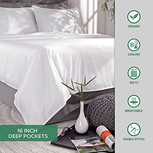 Pure Bamboo - Queen Bed Sheet Set, Genuine 100% Organic Viscose Derived from Bamboo, Luxuriously Soft & Cooling, Double Stitching, Lifetime Quality Promise (Queen, Sea Glass)