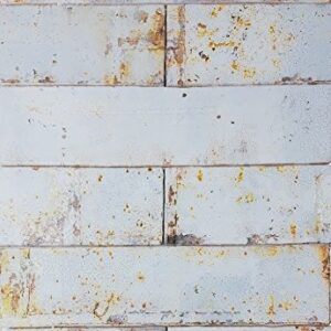 3x12 Palermo Collection Aires Glazed Ceramic Tile Backsplash Decor Wall Bath (1sf, 4pcs)