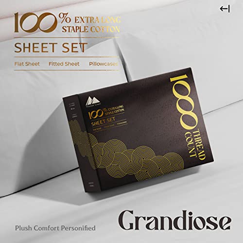 Mayfair Linen 100% Egyptian Cotton Sheets Set Queen - 1000 High Thread Count, Luxury 5-Star Hotel 4 PC Sateen Bed Sheets Queen Size, Soft, Breathable Extra Long Staple 16" Deep Pocket Sheets - Silver