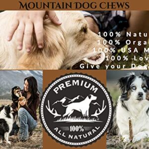 Mountain Dog Chews - Mammoth Split Elk Antler - Elk Antler Dog Chew - Grade A Premium - Organic - Made in USA - No Mess