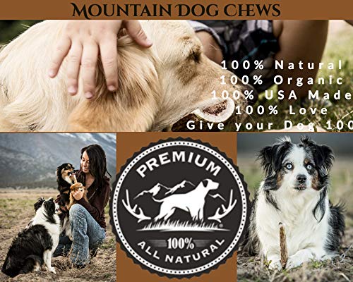 Mountain Dog Chews - Mammoth Split Elk Antler - Elk Antler Dog Chew - Grade A Premium - Organic - Made in USA - No Mess