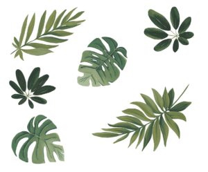 wall pops wallpops dwpk2761 havana leaves wall art kit, green