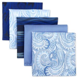 shlax&wing 5 pieces assorted mens silk pocket square handkerchiefs set lot 30