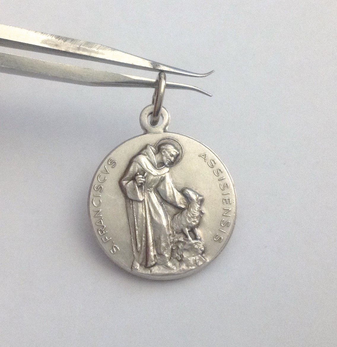 Saint Francis of Assisi Medal - The Patron Saints Medals -100% Made in Italy (St.Francis with The Wolf)