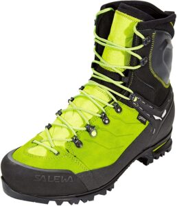 salewa vultur evo gtx black/cactus 9 m