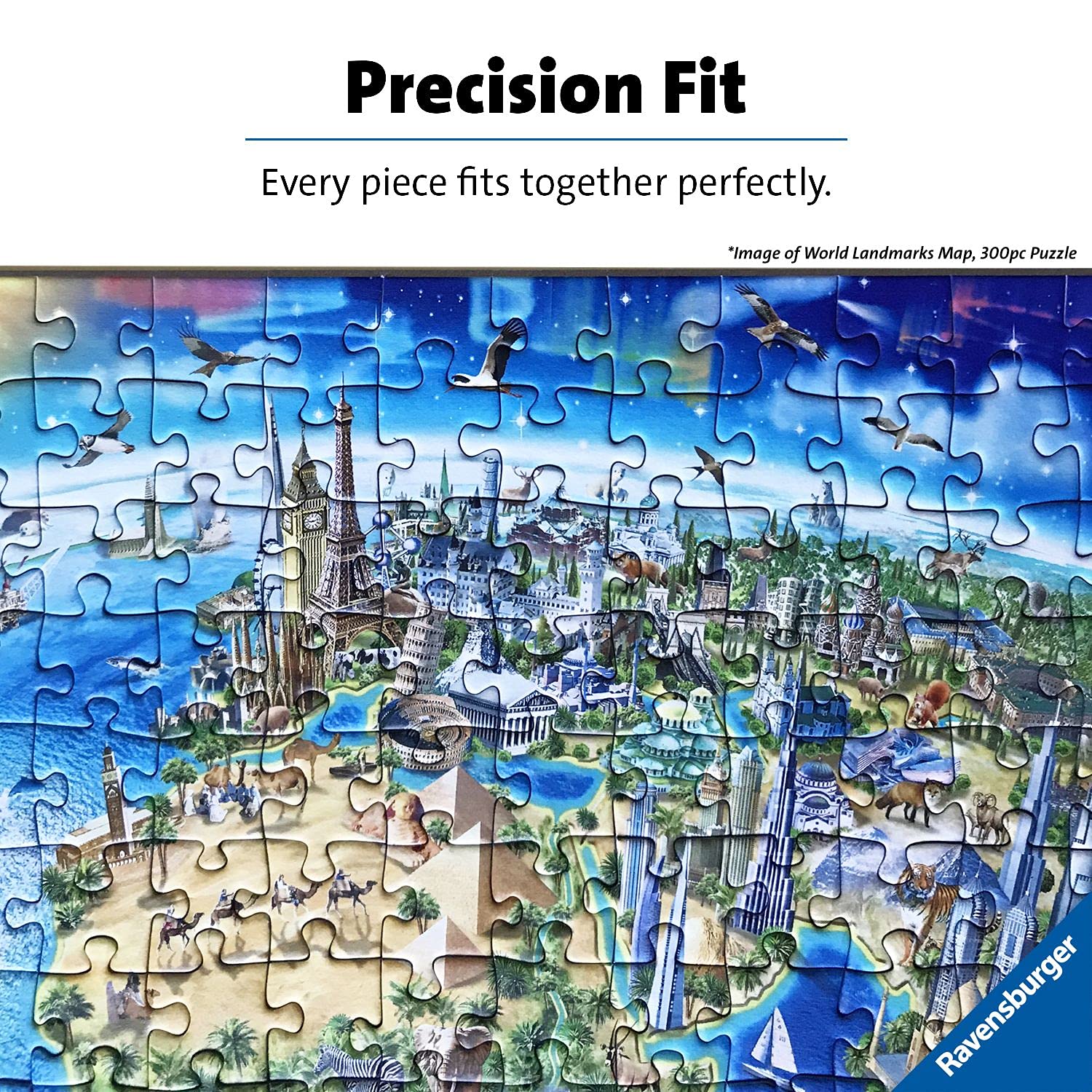 Ravensburger Protect and Preserve USA-1000 Piece Jigsaw Puzzle