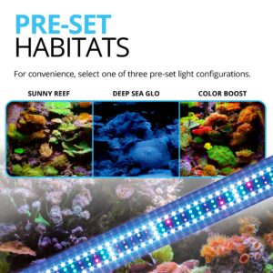 Fluval Sea Marine 3.0 LED Aquarium Lighting for Coral Growth, 59 Watts, 48-60 Inches