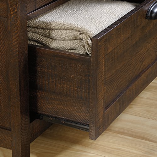 Sauder Miscellaneous Storage Pantry Cabinet, L: 31.02"x W: 17.56"x H: 71.1", Rustic Walnut finish