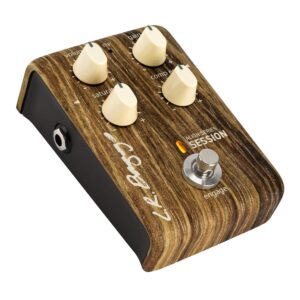 L.R. Baggs Align Session Acoustic Guitar Effects Pedal