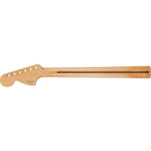 Fender Deluxe Series Stratocaster Neck, Modern C, 22 Narrow Tall Frets, Pau Ferro Fingerboard